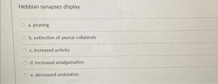 Solved Hebbian synapses display a. pruning b. extinction of | Chegg.com