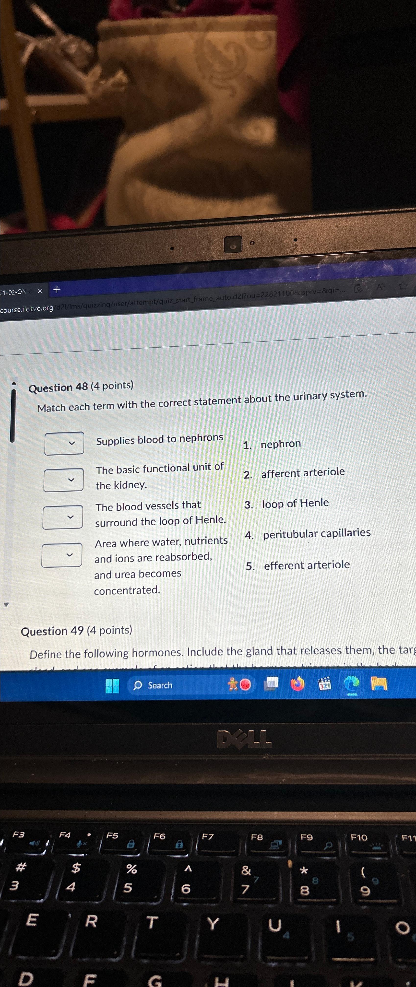 Solved Question 48 (4 ﻿points)Match each term with the | Chegg.com