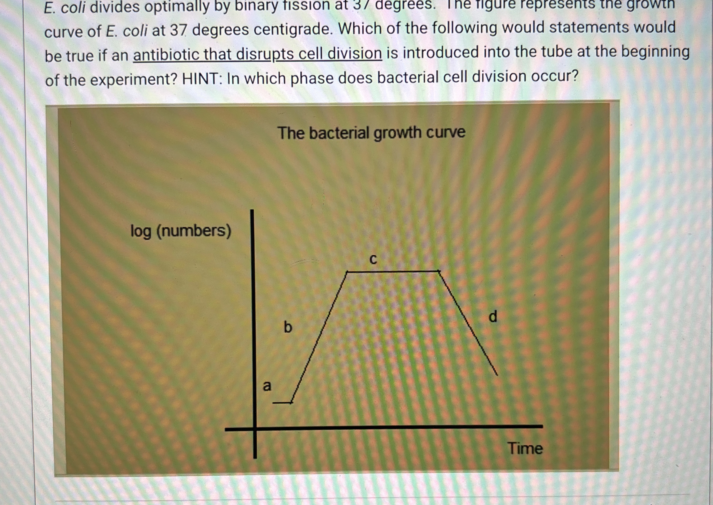 Solved E. ﻿coli divides optimally by binary fission at 3? | Chegg.com