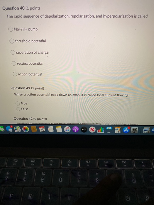 Solved Question 40 (1 point) The rapid sequence of | Chegg.com