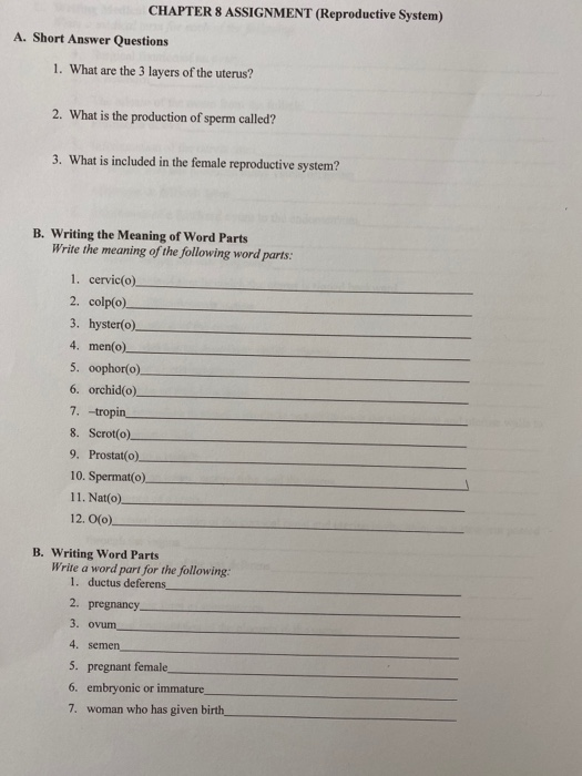 Solved CHAPTER 8 ASSIGNMENT (Reproductive System) A. Short | Chegg.com