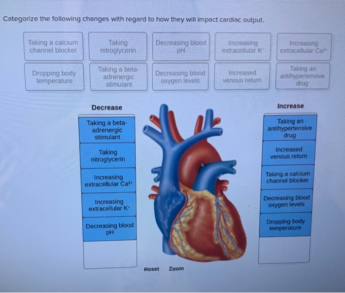 Solved Categorize the following changes with regard to how | Chegg.com