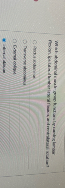 Solved Which abdominal muscle group functions by causing | Chegg.com