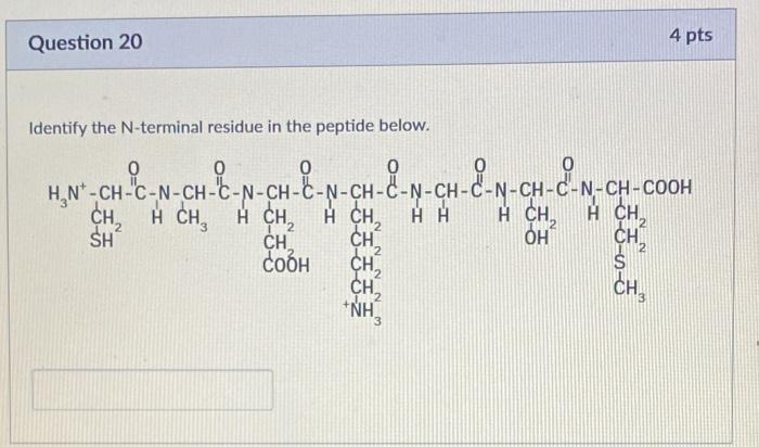 Solved Question 20 4 pts Identify the N-terminal residue in | Chegg.com