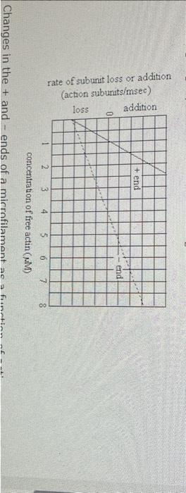 Solved Based on Figure 1, at what free actin subunit | Chegg.com