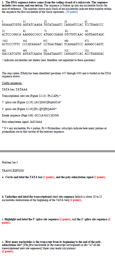 Solved The DNA sequence below comes from the coding strand | Chegg.com