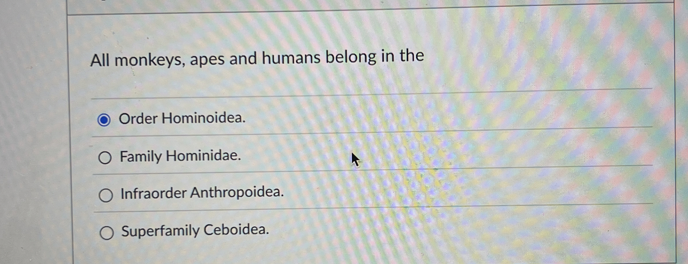 Solved All monkeys, apes and humans belong in theOrder | Chegg.com