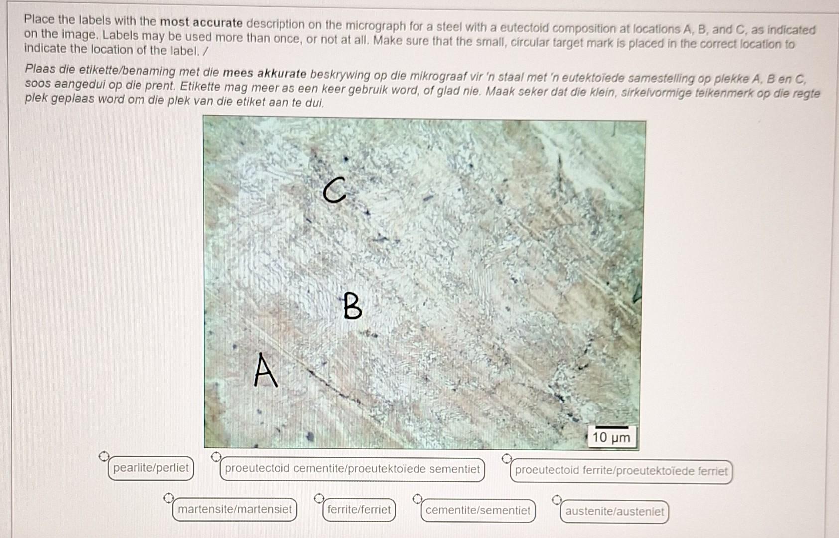 Solved Place the labels with the most accurate description | Chegg.com