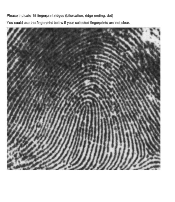 Solved Match the print with the best possible definition | Chegg.com