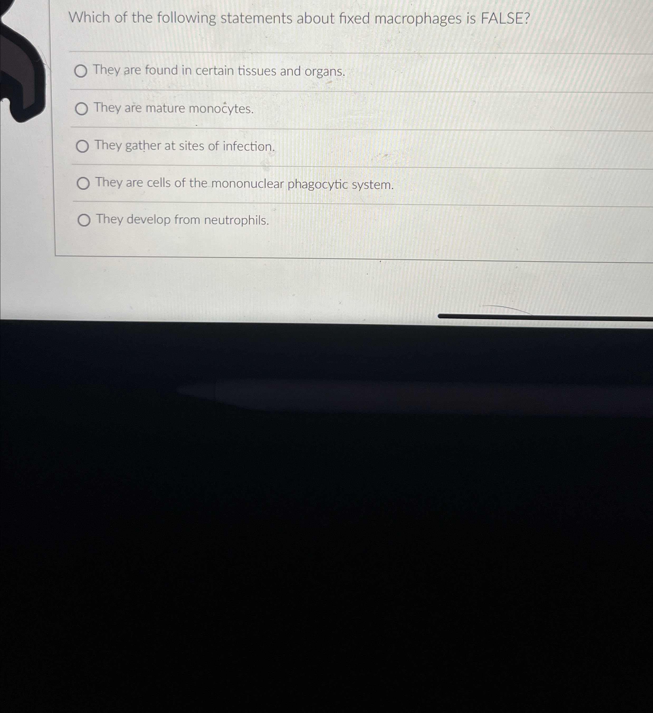 Solved Which of the following statements about fixed | Chegg.com