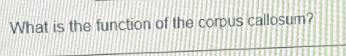 Solved What is the function of the corpus callosum? | Chegg.com