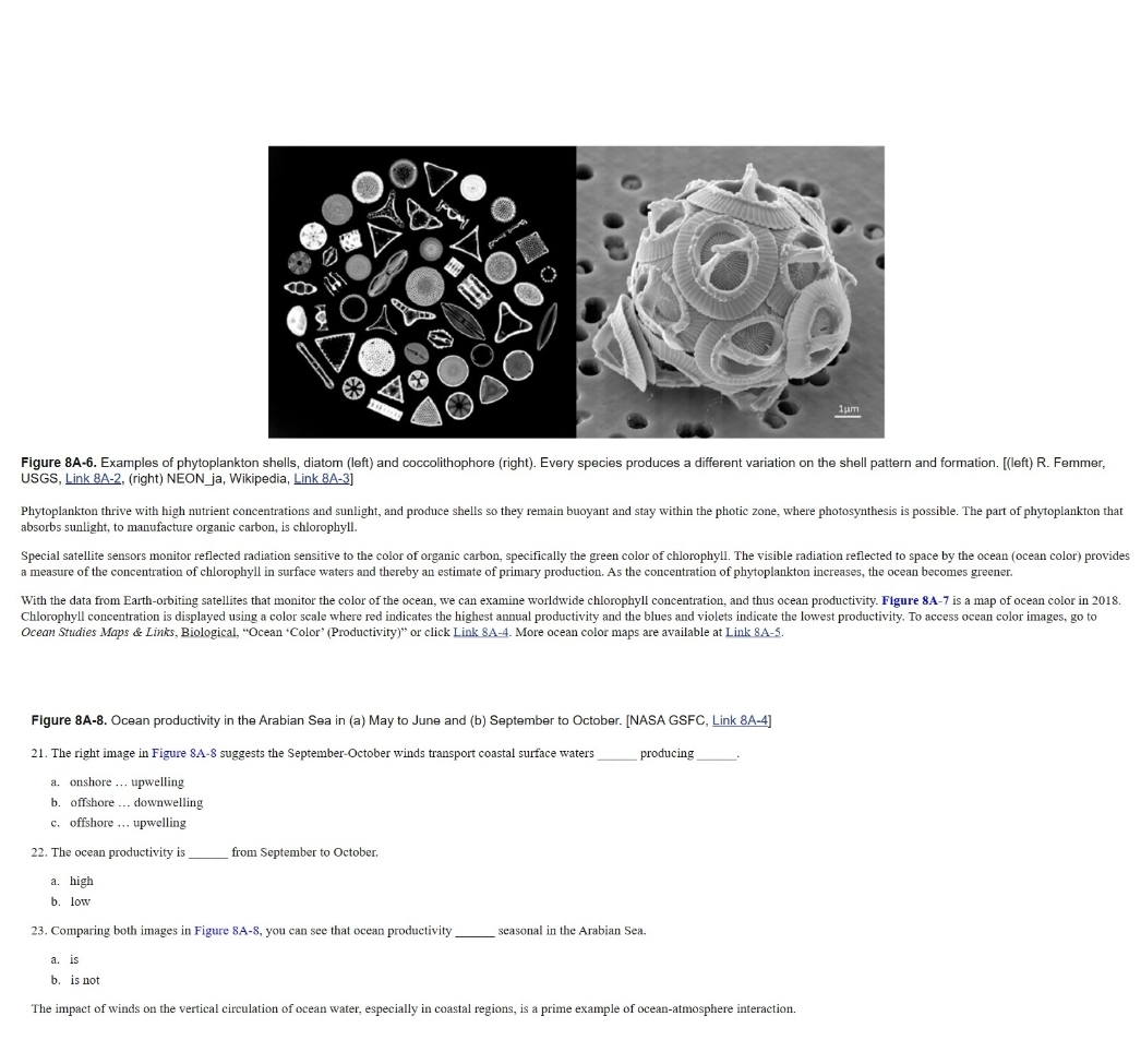 Solved Figure 8A-6. ﻿Examples of phytoplankton shells, | Chegg.com