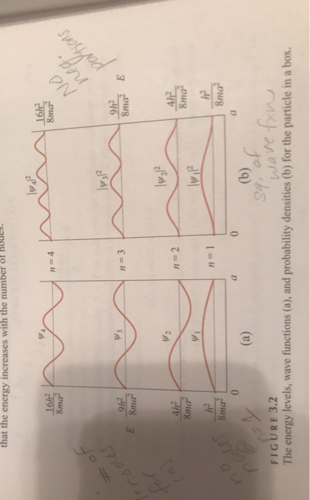 Solved 3–8. If we operate on the particle-in-a-box wave | Chegg.com