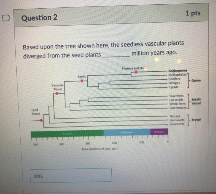 Solved 1 pts Question 2 Based upon the tree shown here, the | Chegg.com