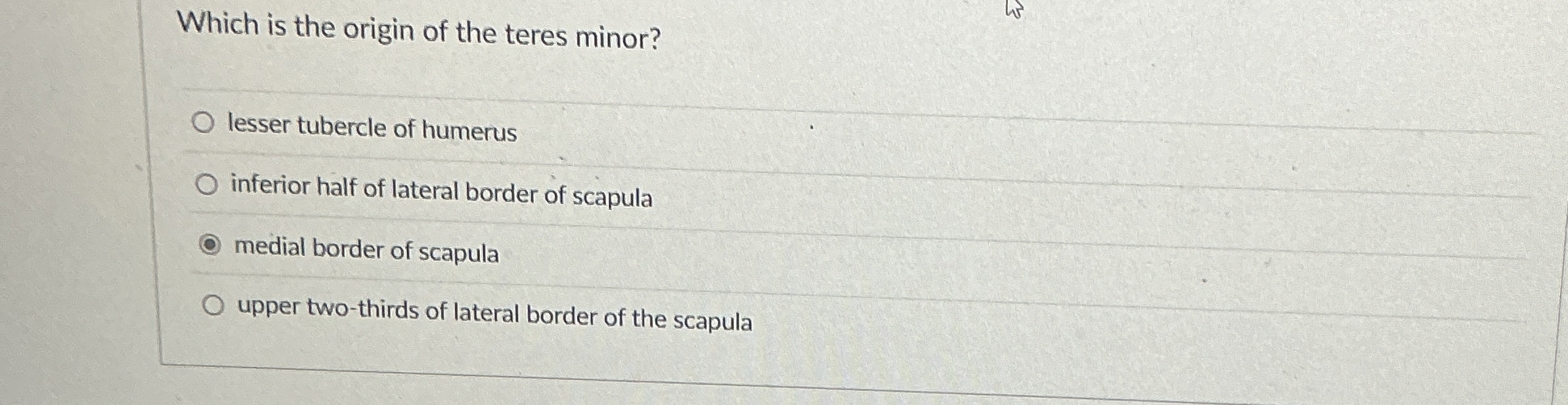 Solved Which is the origin of the teres minor?lesser | Chegg.com