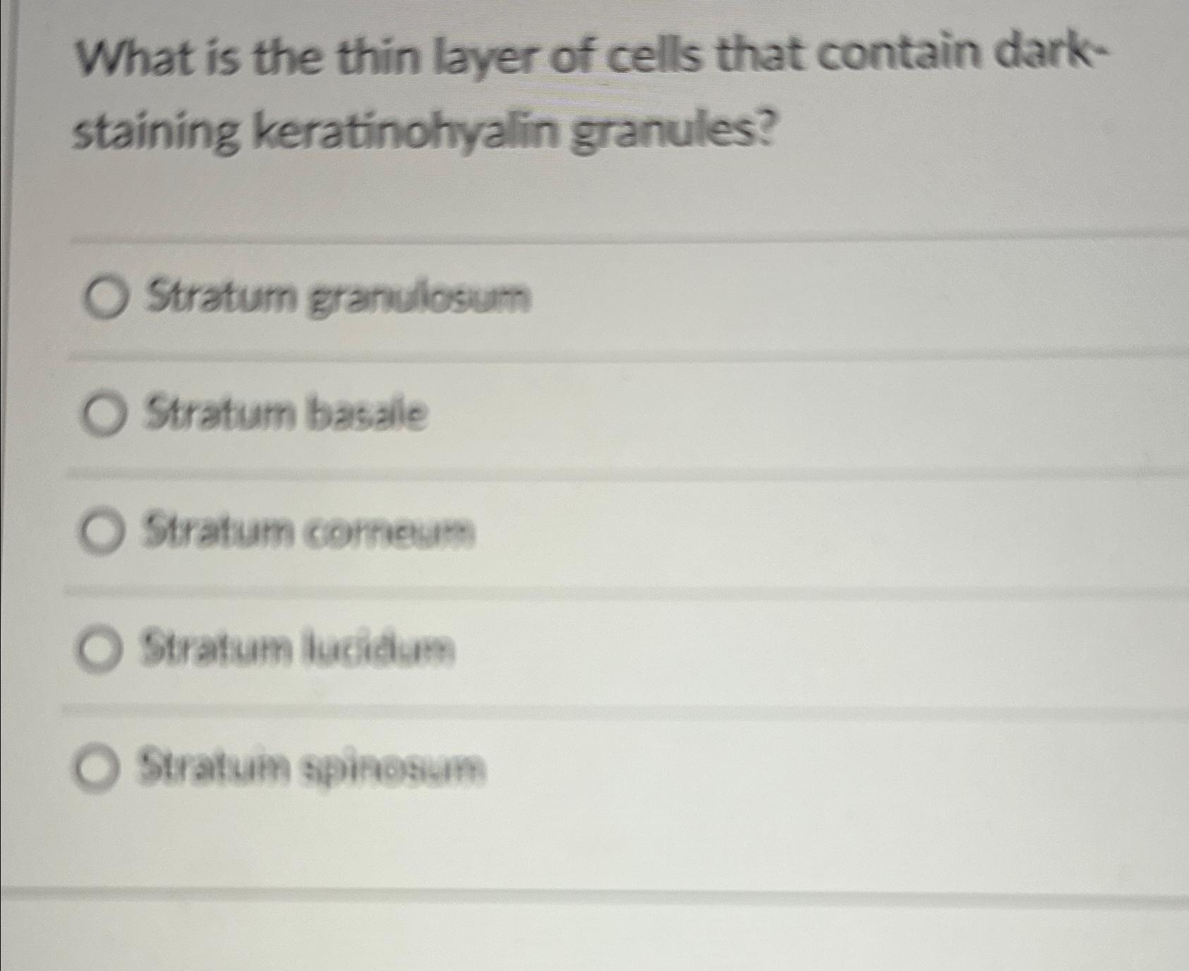 Solved What is the thin layer of cells that contain | Chegg.com