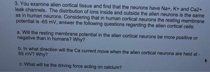 Solved 3. You examine alien cortical tissue and find that | Chegg.com