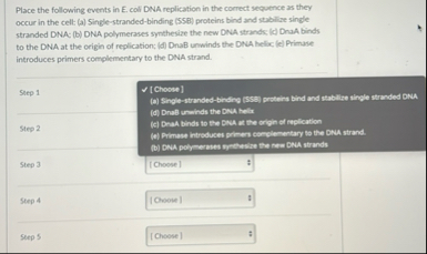Solved Place the following events in E, ﻿coll DNA. | Chegg.com