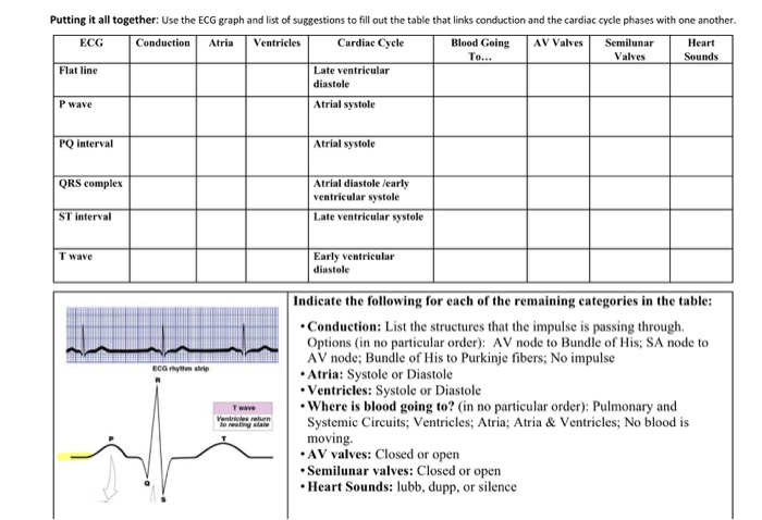 Solved Putting it all together: Use the ECG graph and list | Chegg.com