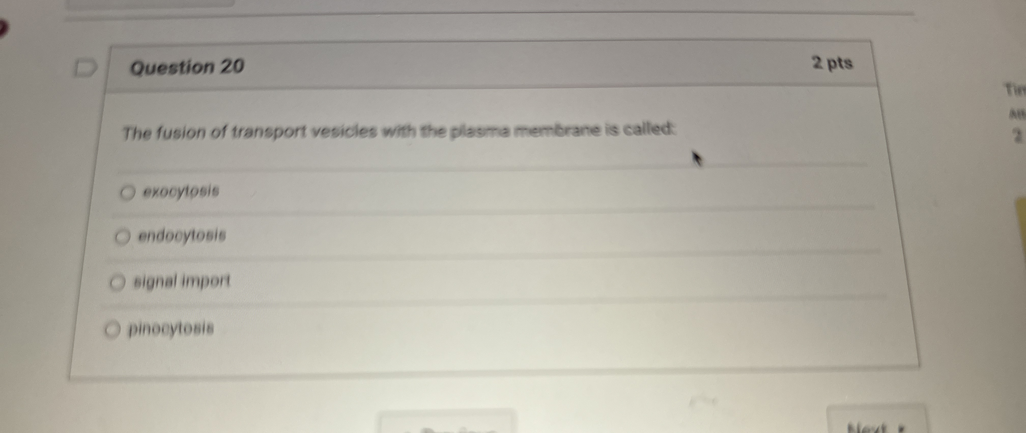 Solved Question 202 ﻿ptsThe fusion of transport vesicles | Chegg.com