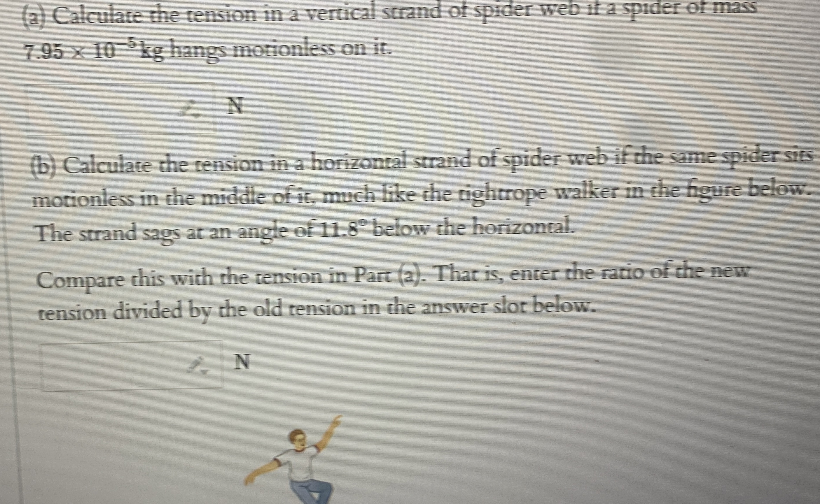 Solved (a) ﻿Calculate the tension in a vertical strand of | Chegg.com
