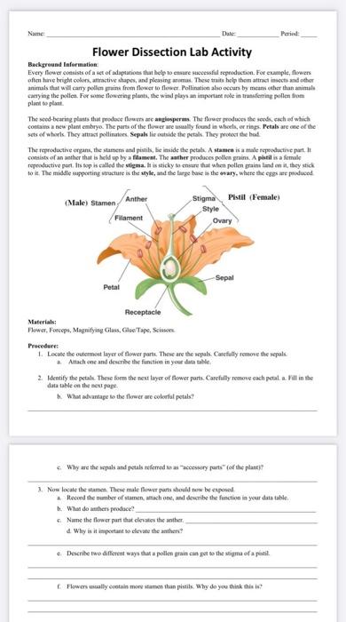 Name Dale Paris Flower Dissection Lab Activity | Chegg.com