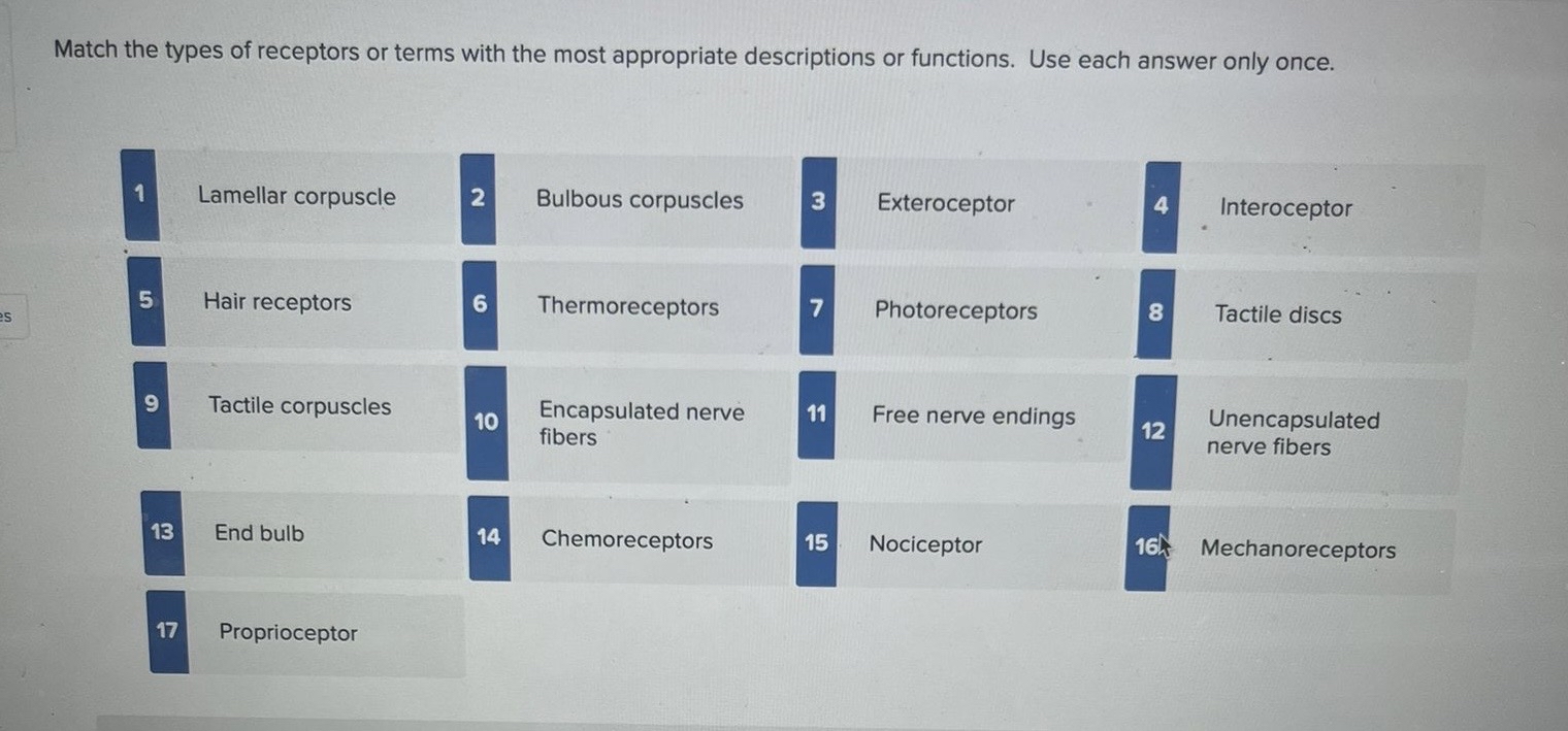 Solved Match the types of receptors or terms with the most | Chegg.com