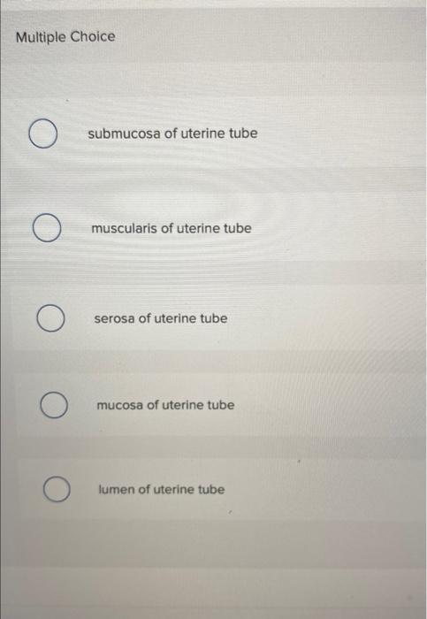 Solved Which structure is highlighted? ©McGraw-Hill | Chegg.com
