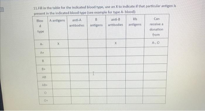 Solved Rh Rh Rh B Rh Rh Rh Rh Blood type: (WRITE ANSWER | Chegg.com