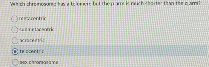 Solved Which chromosome has a telomere but the p arm is much | Chegg.com