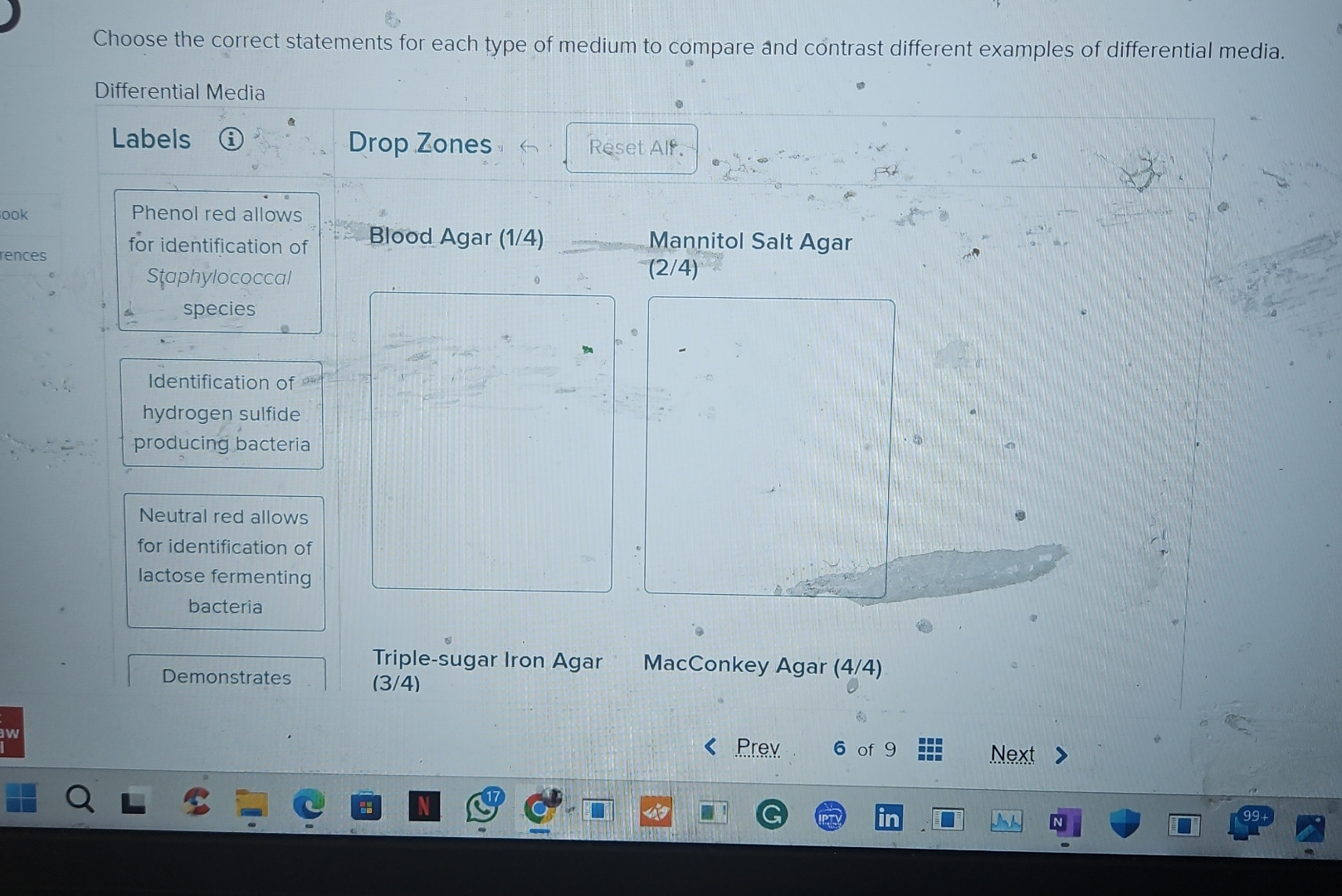 Solved Choose the correct statements for each type of medium | Chegg.com