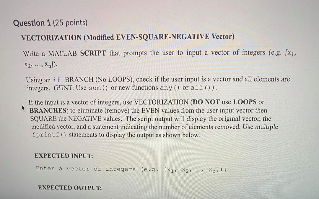 Solved Question 1 (25 points) VECTORIZATION (Modified | Chegg.com