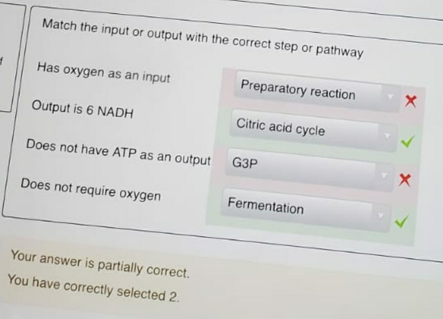 Solved Match the input or output with the correct step or | Chegg.com