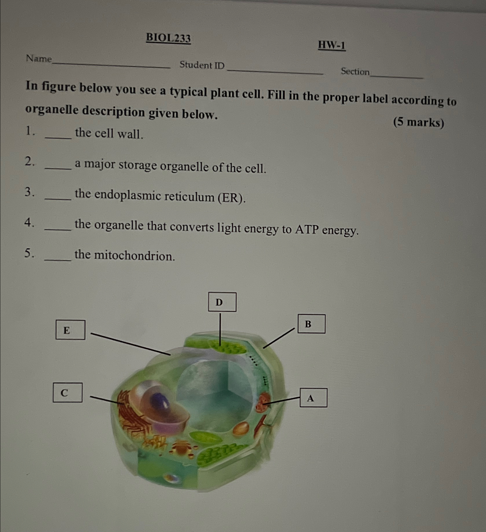 Solved BIOL233HW-1NamStudent IDSectioIn figure below you see | Chegg.com