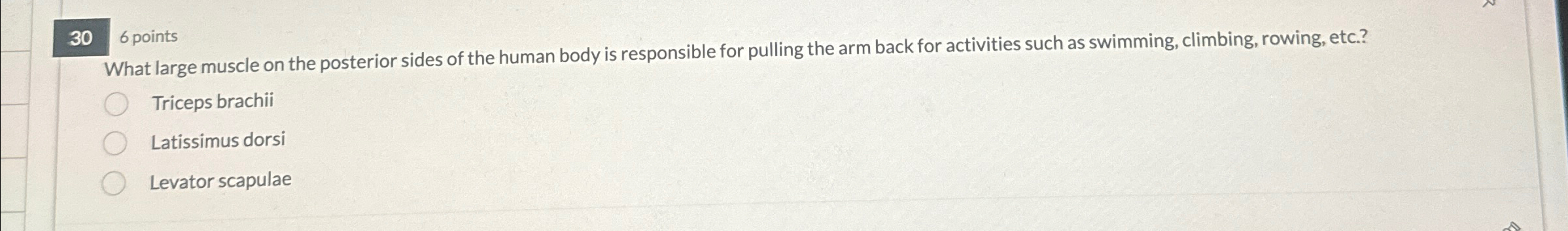 Solved 306 ﻿pointsWhat large muscle on the posterior sides | Chegg.com