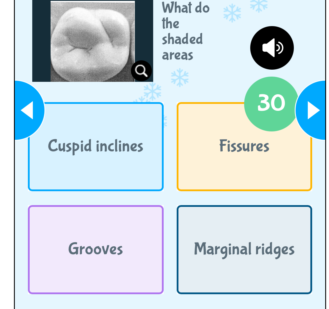 Solved What do the shaded areasCuspid | Chegg.com