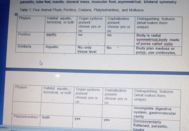 Solved parasitic, tube feet, mantle, visceral mass, muscular | Chegg.com