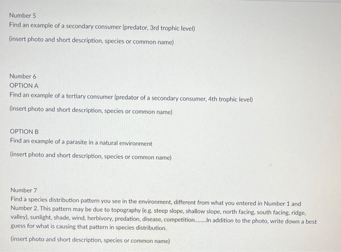 Solved could you give me an exmaple for each one of them | Chegg.com