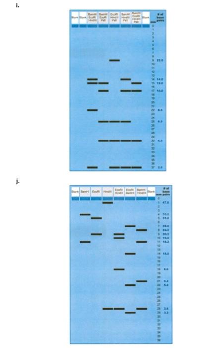 6. Construct a restriction map for each of the | Chegg.com
