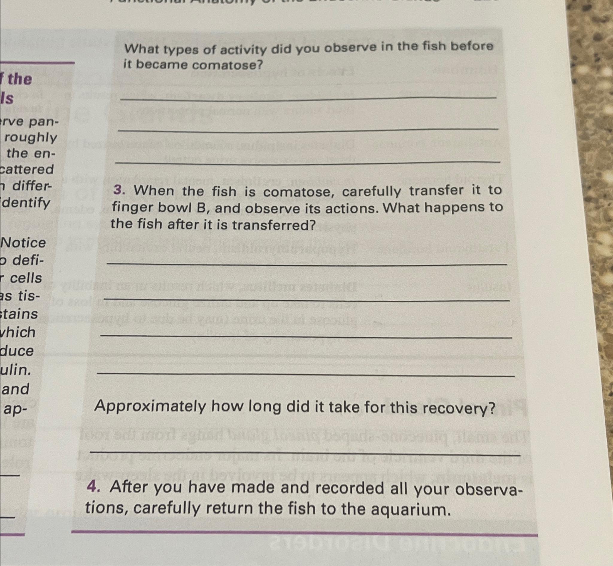 Solved What types of activity did you observe in the fish | Chegg.com