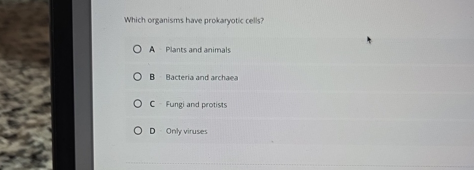 Solved Which organisms have prokaryotic cells?\geoquad A | Chegg.com