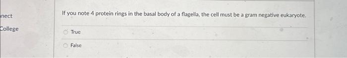 Solved If you note 4 protein rings in the basal body of a | Chegg.com