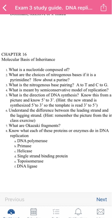 Solved Exam 3 study guide. DNA repl... Dommmum wwcw CHAPTER | Chegg.com
