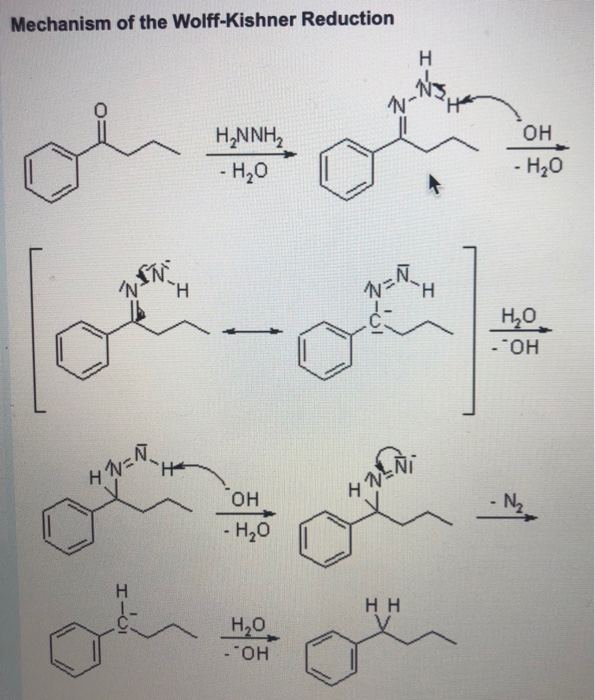 Solved The Wolff-Kishner reduction is a method to transform | Chegg.com