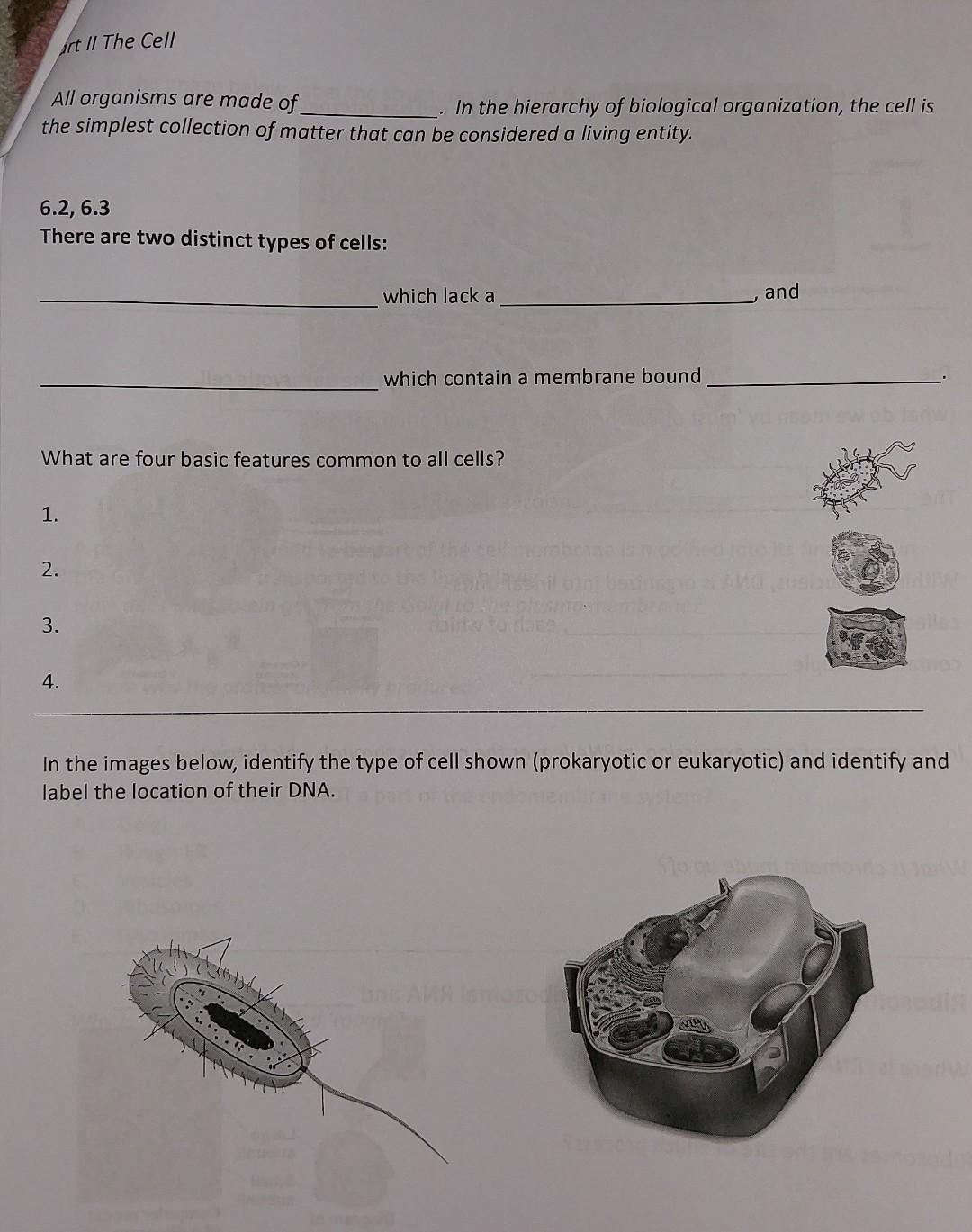 Solved Proteins share three superimposed levels of structure | Chegg.com