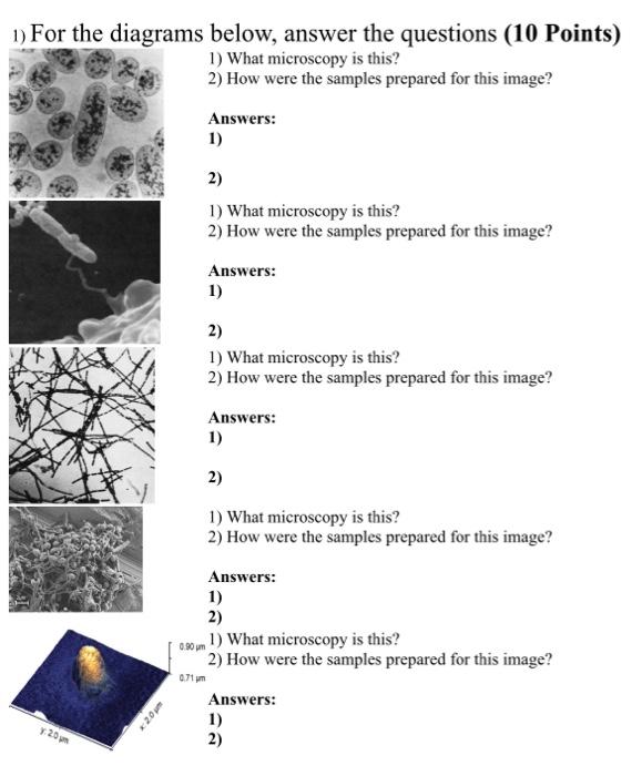 1) What microscopy is this? 2) How were the samples | Chegg.com