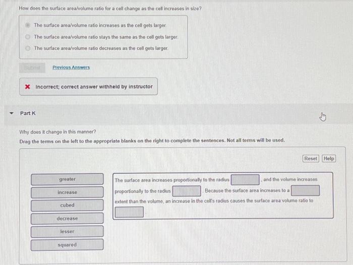 Solved How Does The Surface Areavolume Ratio For Cell 1578