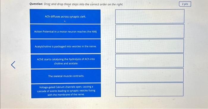 Solved Question Drag And Drop Thege Steps Into The Correct
