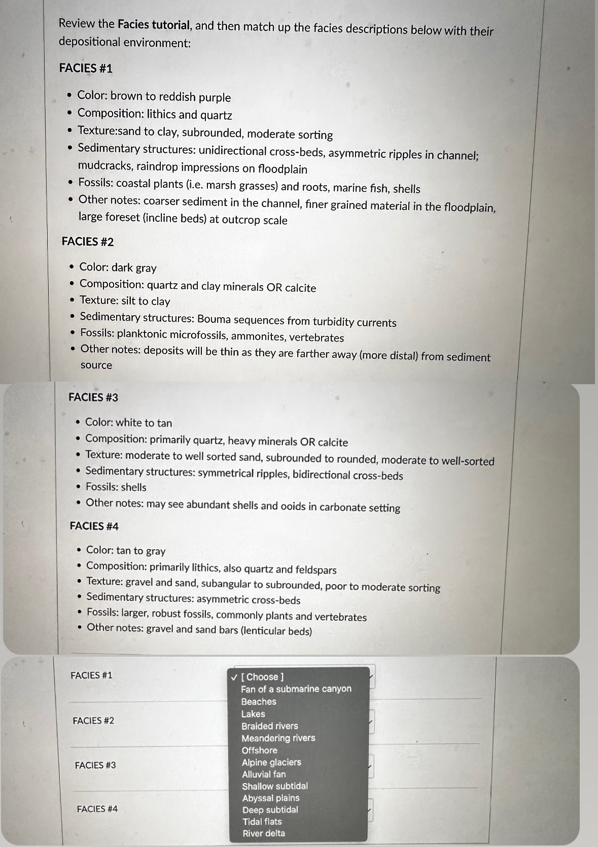 Solved Review the Facies tutorial, and then match up the | Chegg.com