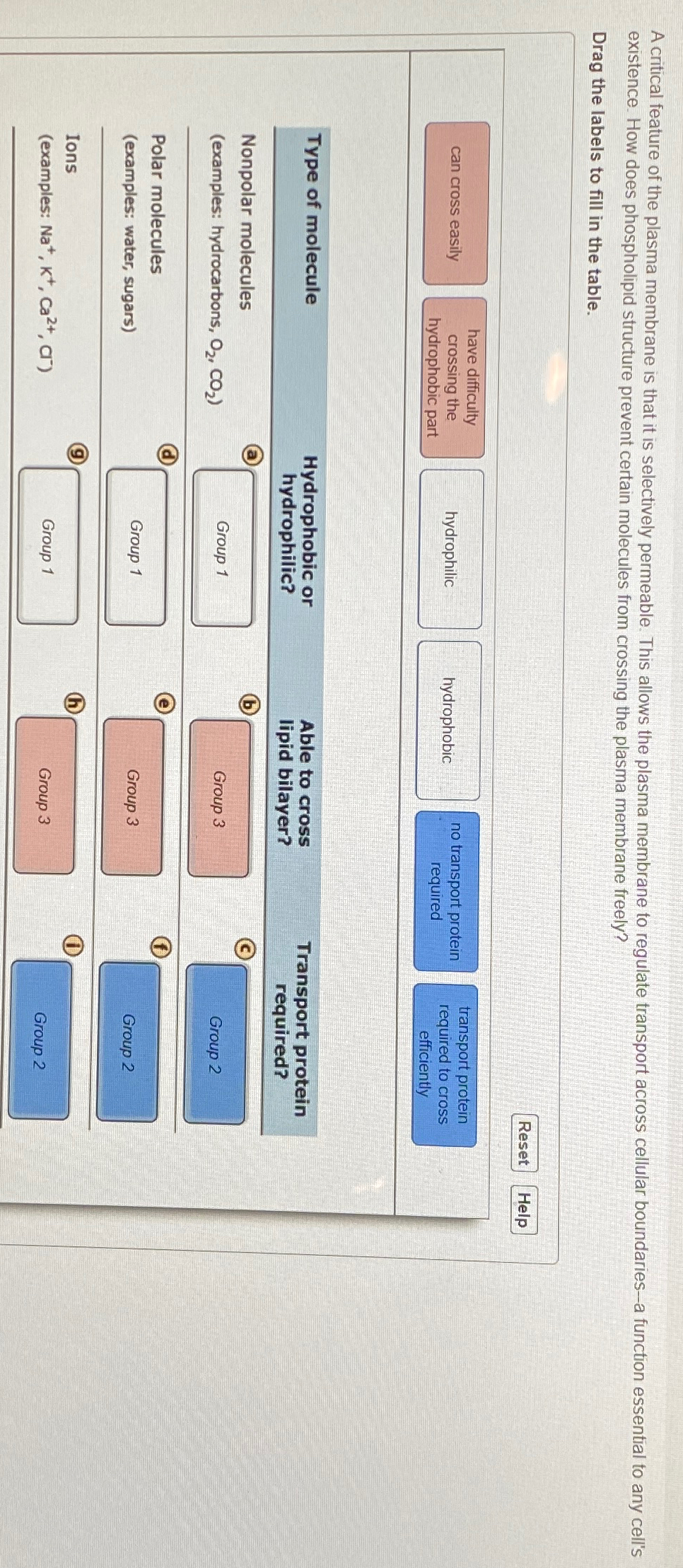 Solved A critical feature of the plasma membrane is that it | Chegg.com